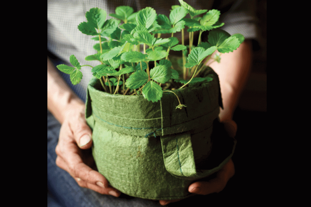 Urban Gardening - IKON Horticulture